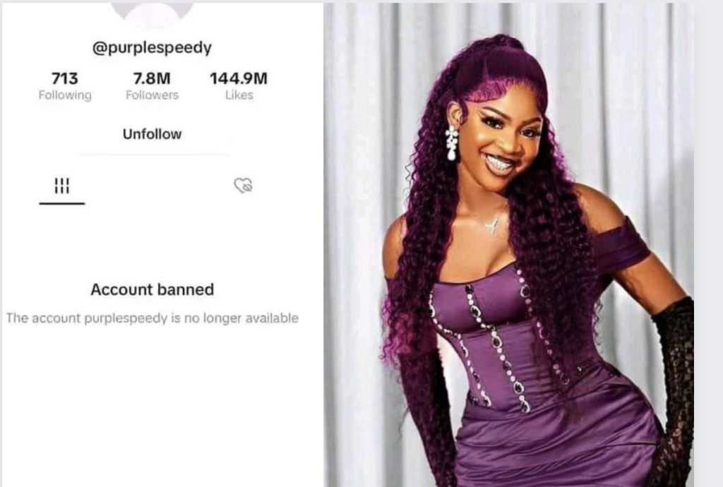 Purple Speedy Loses 7.8 Million Followers on TikTok As Her Account Get ...